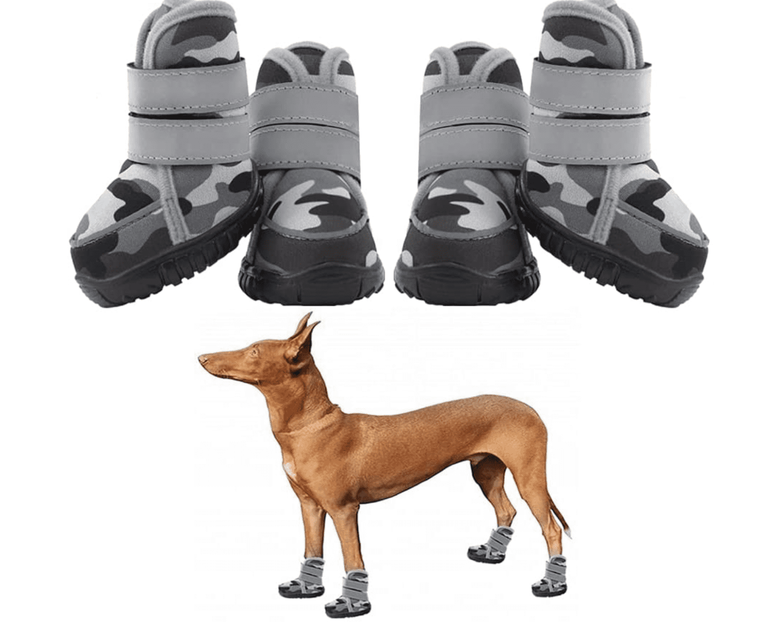 Pet Shoe Shop