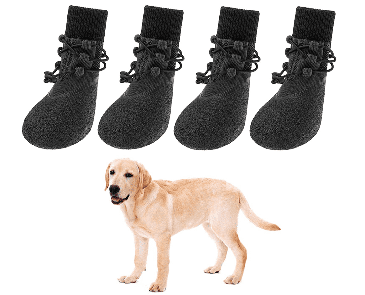 Pet Shoe Shop