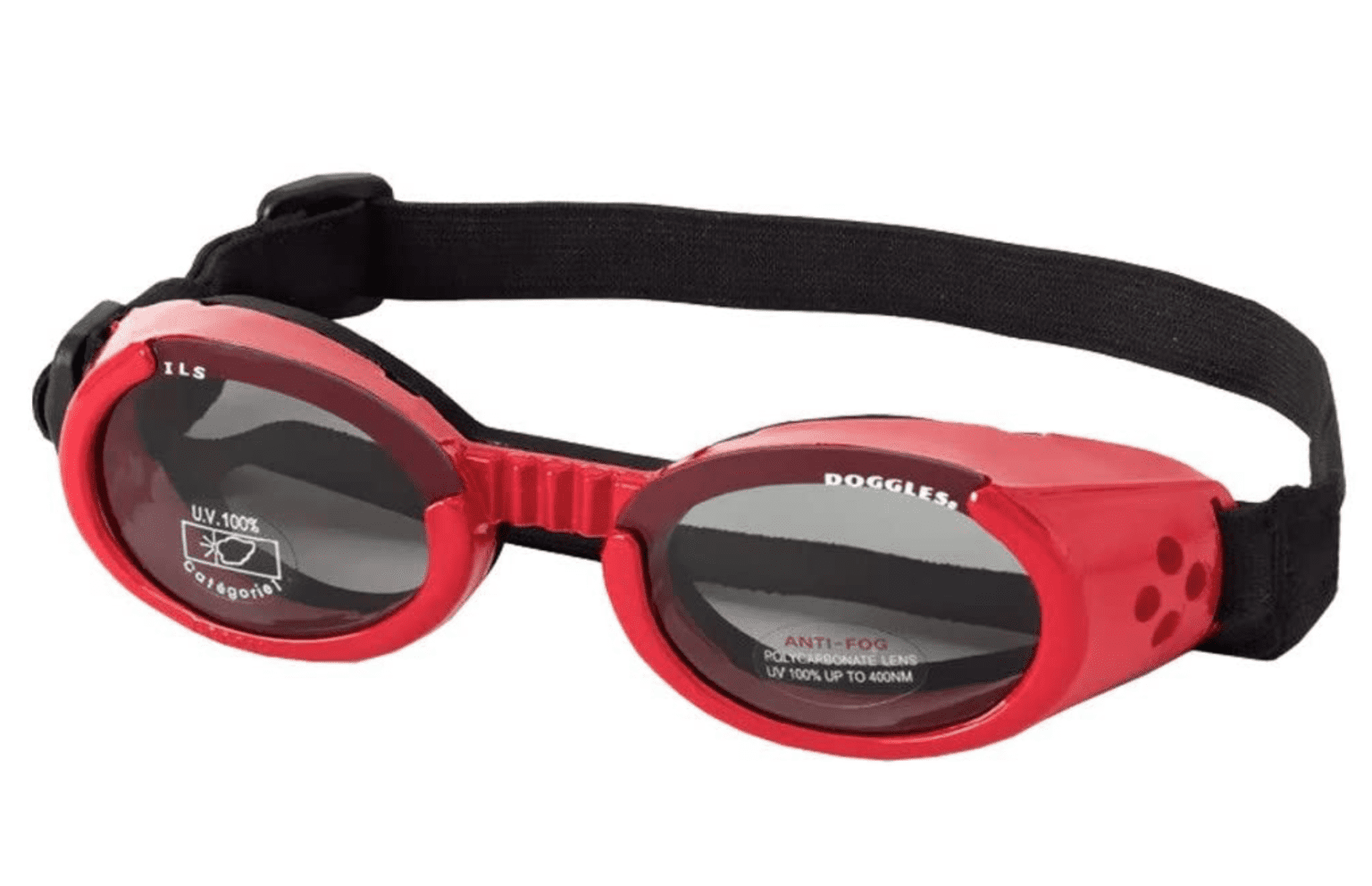 Pet Glasses and Goggles Shop