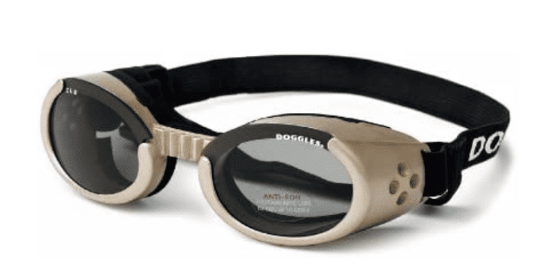Pet Glasses and Goggles Shop