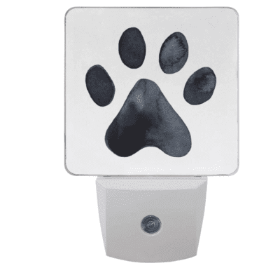 Pet Lighting Shop