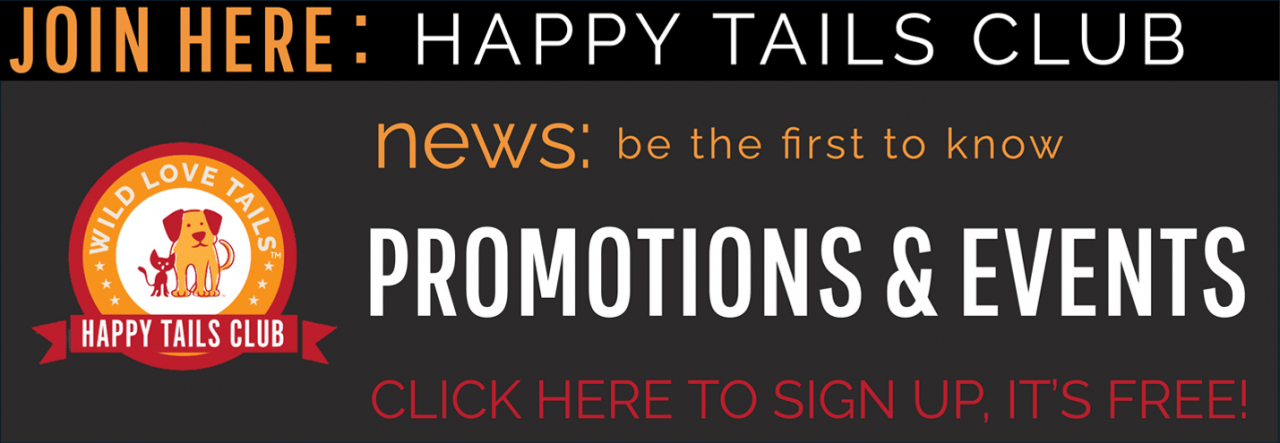 Wild Love Tails | An Online Pet Shop