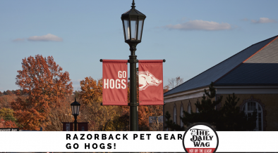 Arkansas Razorback Pet Gear Shop