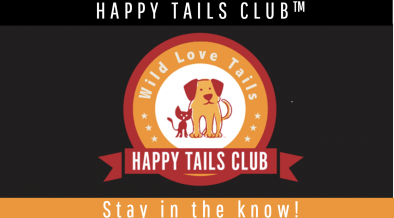 Happy Tails Club - Wild Love Tails