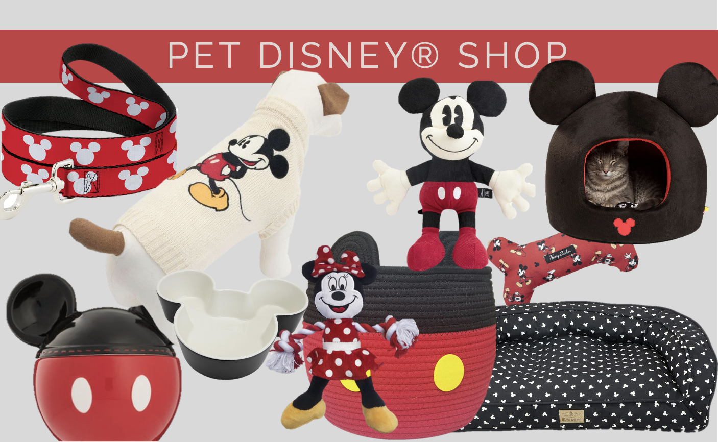 Disney Pet Shop - Unleash the Magic of Disney Pet Supplies