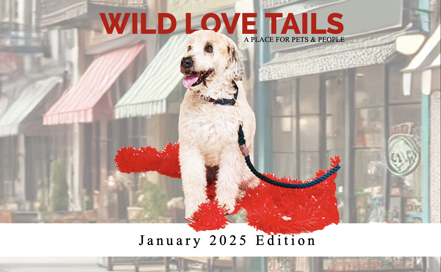Wild Love Tails Magazine - January 2025 Edition