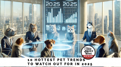 Hottest Pet Trends To Watch In 2025