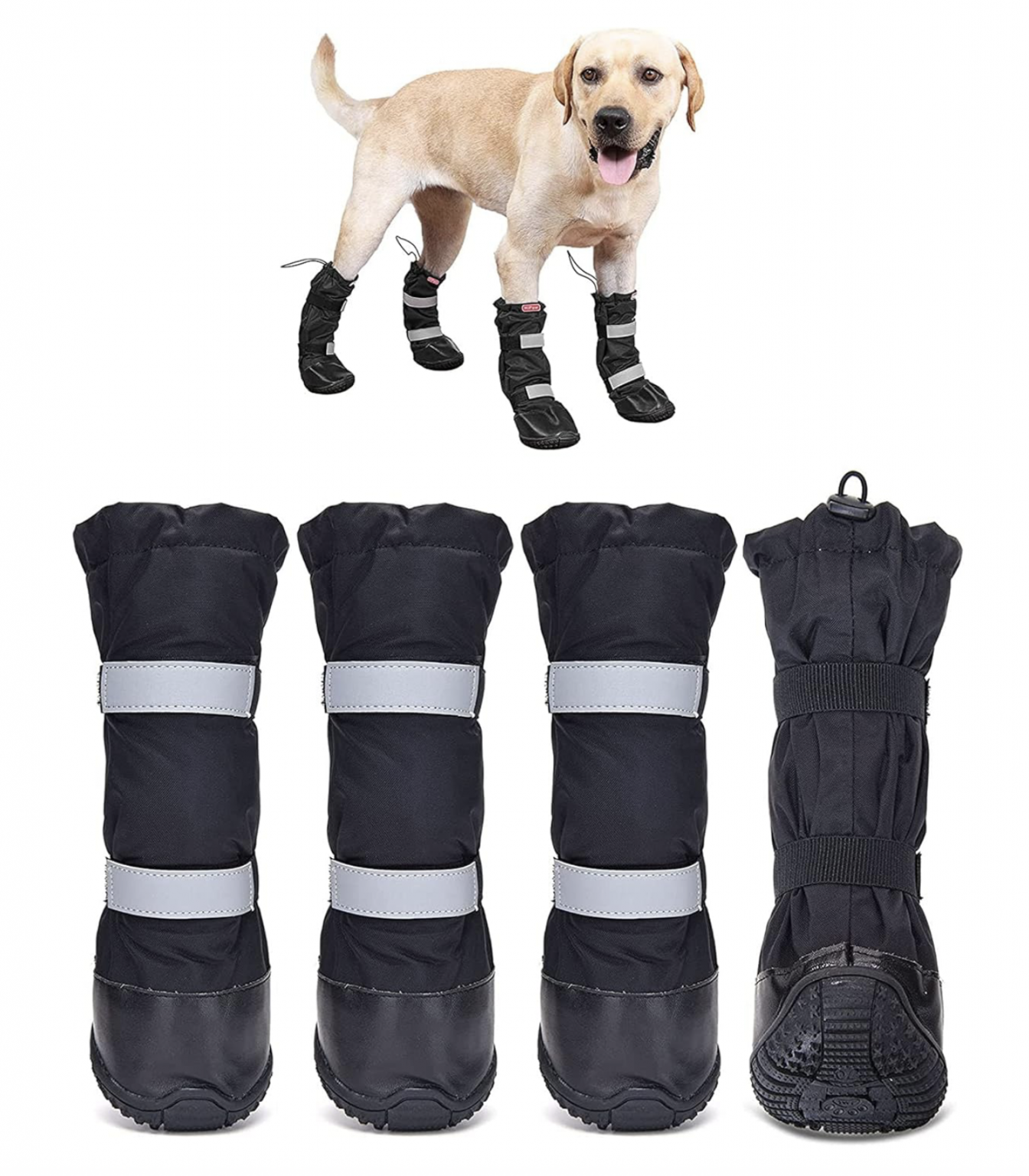 Pet Shoe Shop