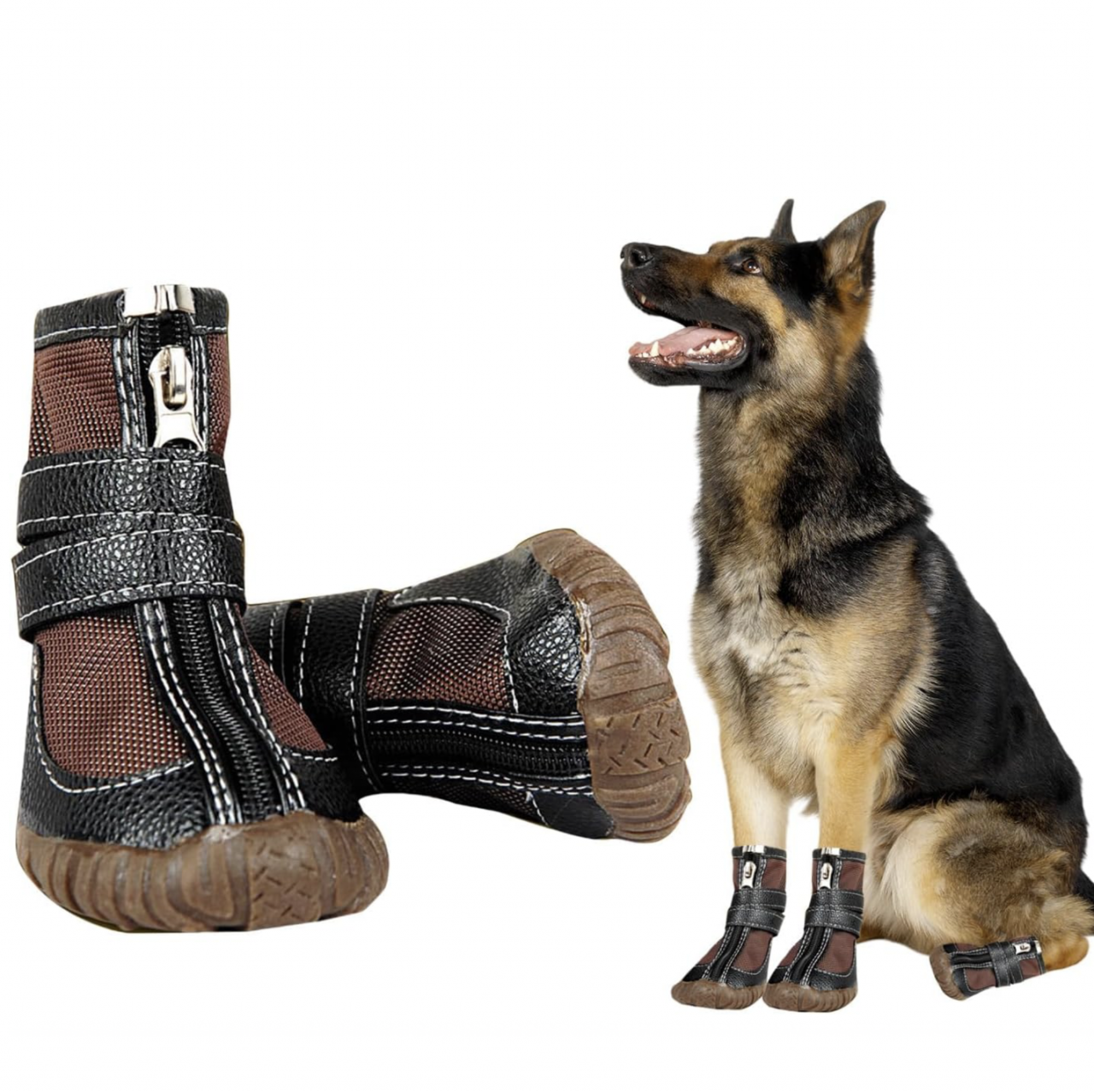 Pet Shoe Shop
