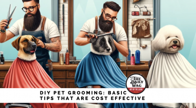 DIY Pet Grooming : Basic Tips That Help Keep Pets Looking Good